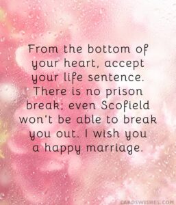 70+ Funny Wedding Wishes and Messages