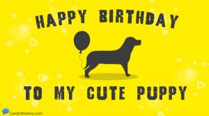 50+ Sweet Birthday Wishes For Dog To Celebrate It