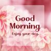 Top 30 Good Morning Messages And Quotes To Brighten Their Day