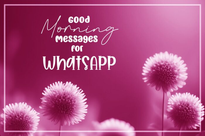 Top 30 Good Morning Messages for WhatsApp